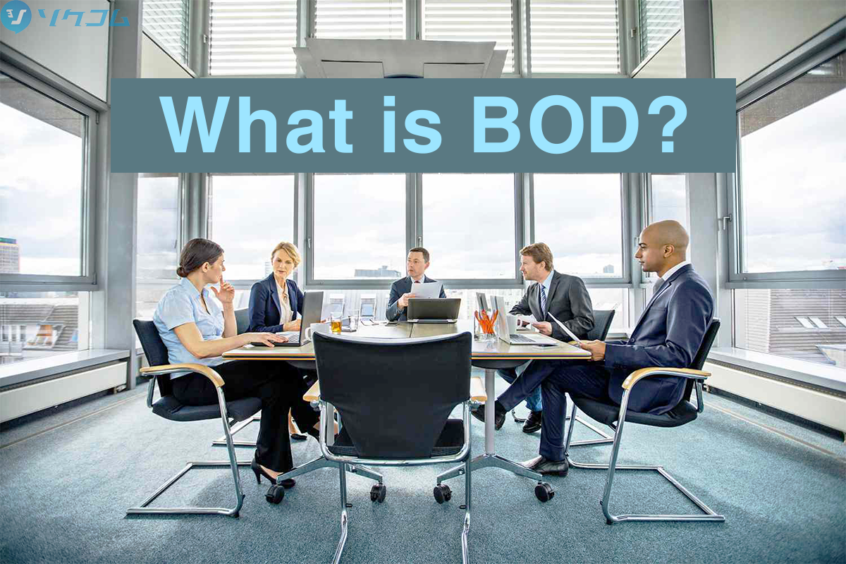 Cần Hiểu Rõ BOD Là Gì – Vai Trò Chức Năng Và Sự Quan Trọng Của BOD