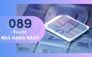 089 Là Mạng Gì? Bí Mật Đầu Số Vàng Khiến Nhiều Người Phát Sốt